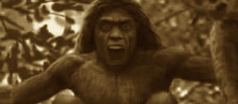 Sobat Shopee, Sudah Tau 7 Hewan Mitologi Asal Indonesia Ini ...