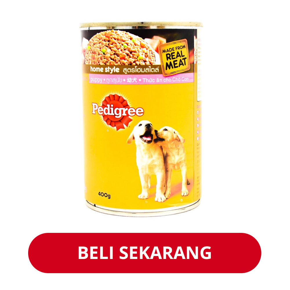 Tips Memilih Makanan Terbaik untuk Hewan Peliharaan - Inspirasi Shopee Tips Memilih Makanan Terbaik untuk Hewan Peliharaan - Inspirasi Shopee