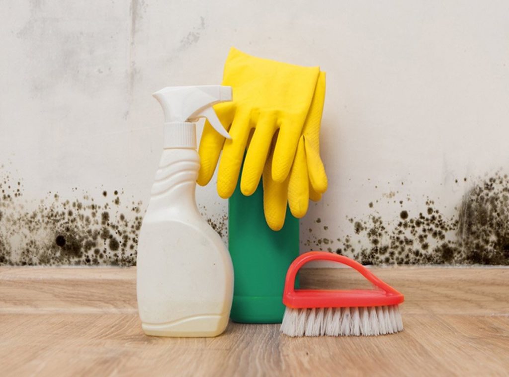 Dinding Rumah Jamuran? Begini Cara Membersihkannya - Inspirasi Shopee