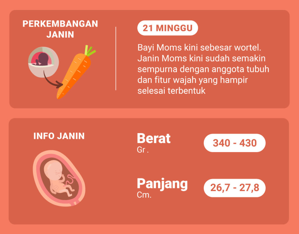 Menginjak Masa Hamil 21 Minggu, Bagaimana Perkembangan si Kecil ...