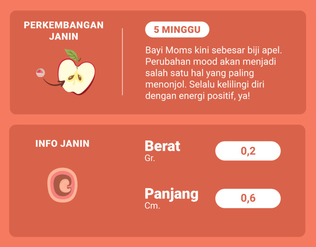Saat Hamil 5 Minggu, Bagaimana Perkembangan Janin Moms? - Inspirasi Shopee