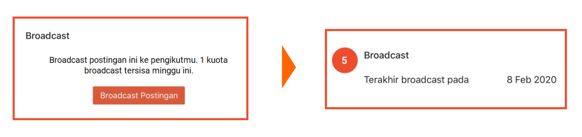 Cek Performa Postingan Shopee Feed, Strategi Jualan Lebih Efektif ...