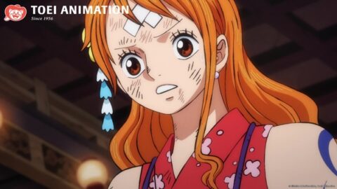 Profil Nami One Piece, Ini Kekuatan Sang Navigator Cantik - Inspirasi ...