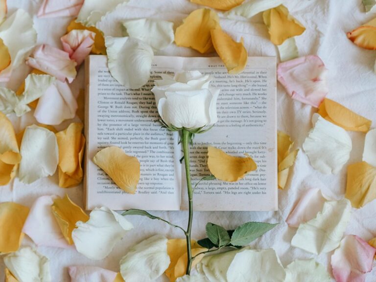 25 Contoh Puisi Pendek Berbagai Tema - Inspirasi Shopee